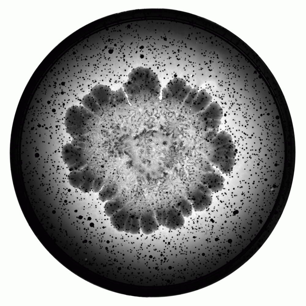 Ujoo + LimHeeYoung - ARTJAWS.COM